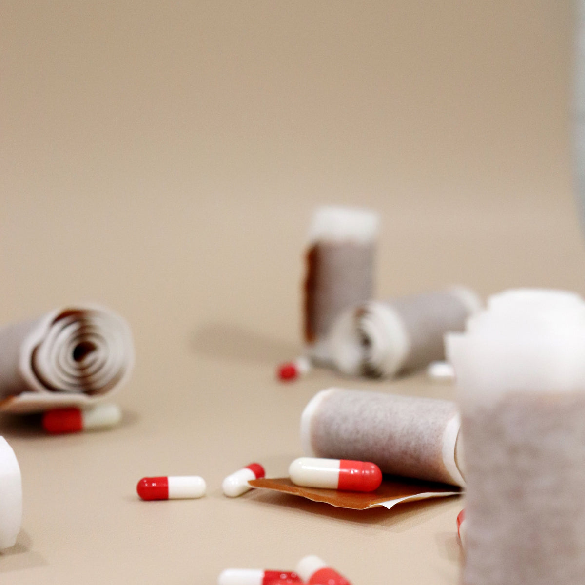 Stashios Wins SuperZoo New Product Showcase Award