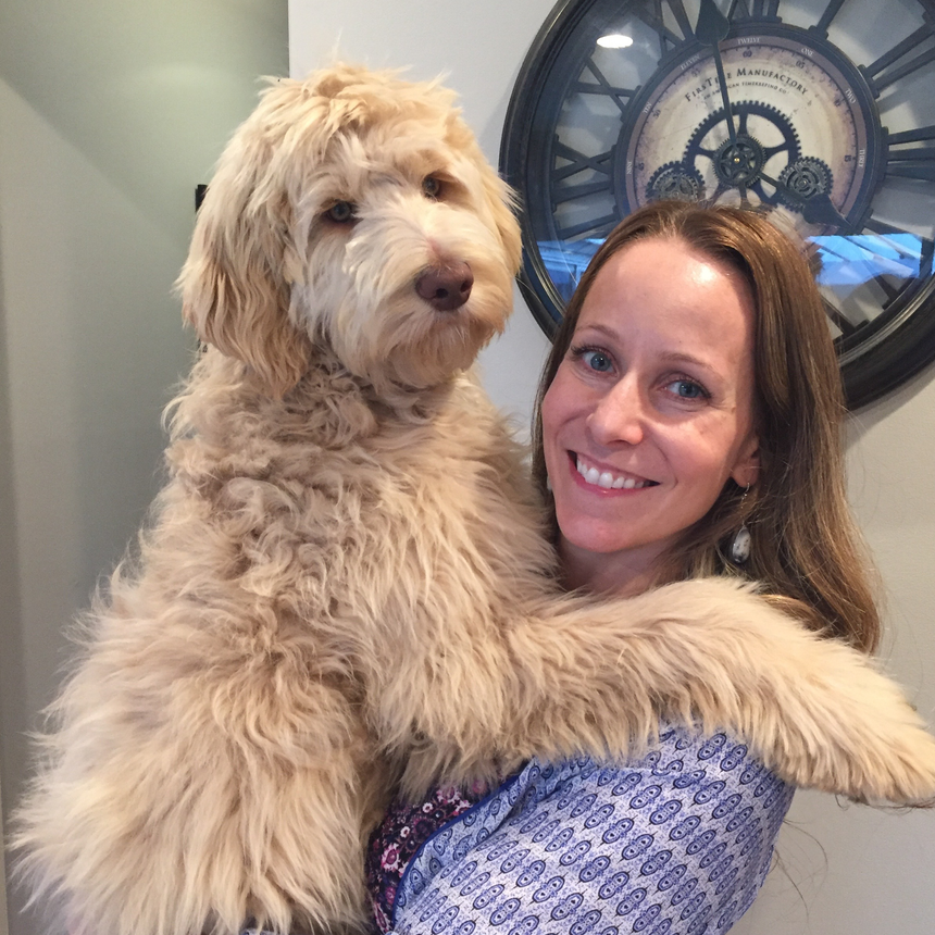 About Us – Stashios